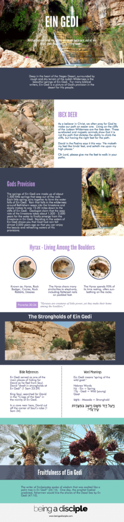 ein-gedi-infographic - Being a Disciple